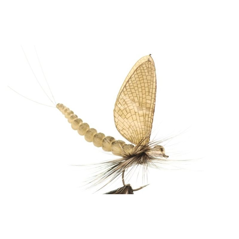 Mayfly Dun 1 Tan, H/T & A: Vanilla cream