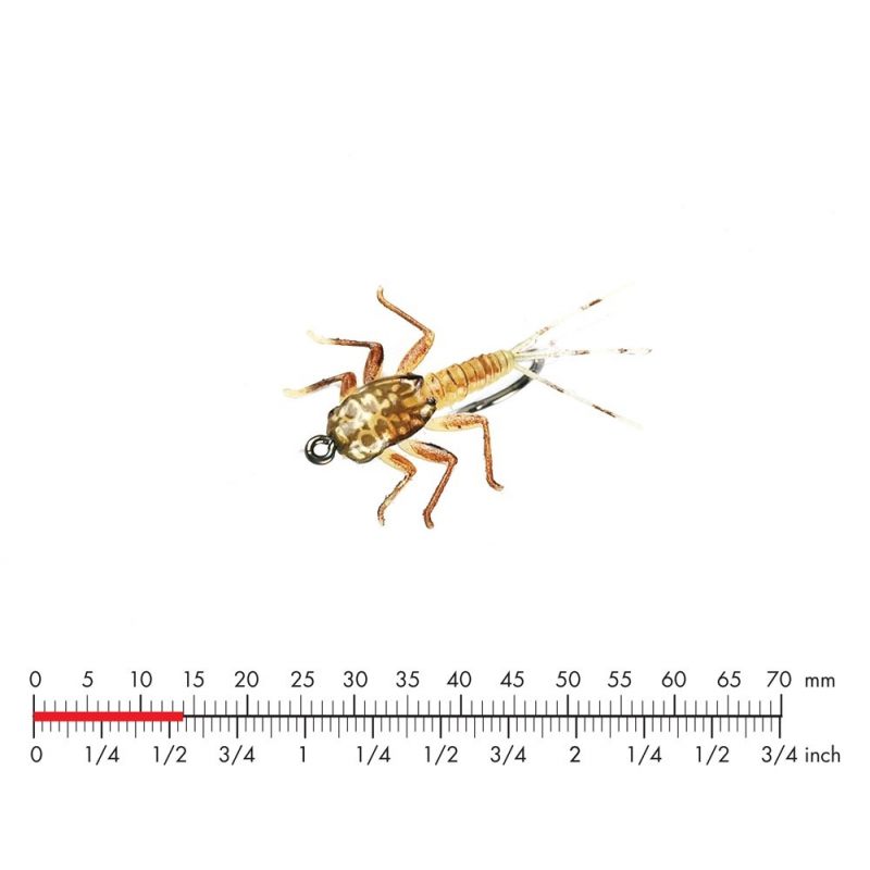 Mayfly nymph Sulphur 4