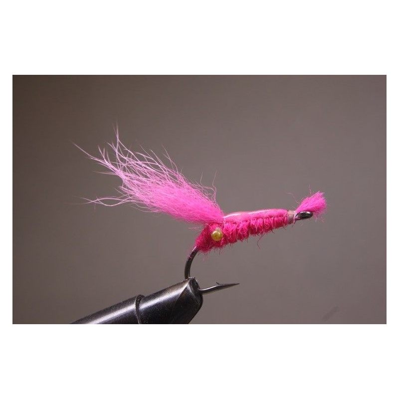 Shrimp Light Pink Epoxy, Find all kind of dry flies, wet flies, salmon ...